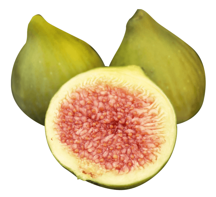 Products – Frigodar